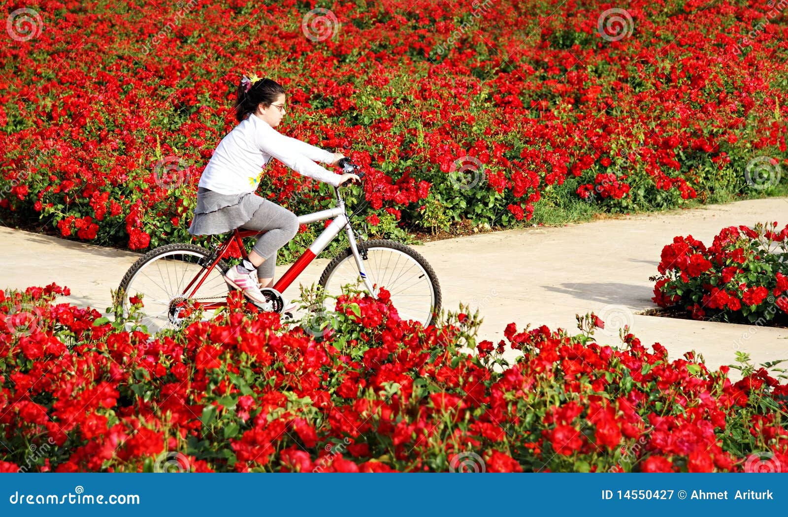 Riding through flowers stock image. Image of lifestyle - 14550427