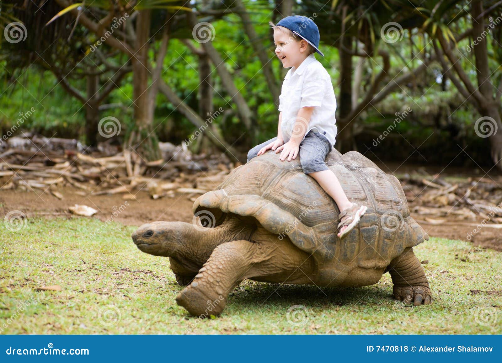 Muški Kutak - Ana.rs - Strana 4147