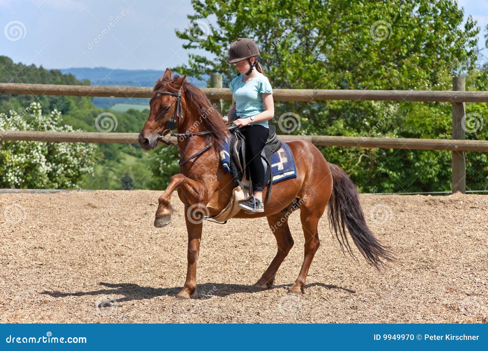 Riding Girl stock photo. Image of outdoor, ride, riding - 9949970