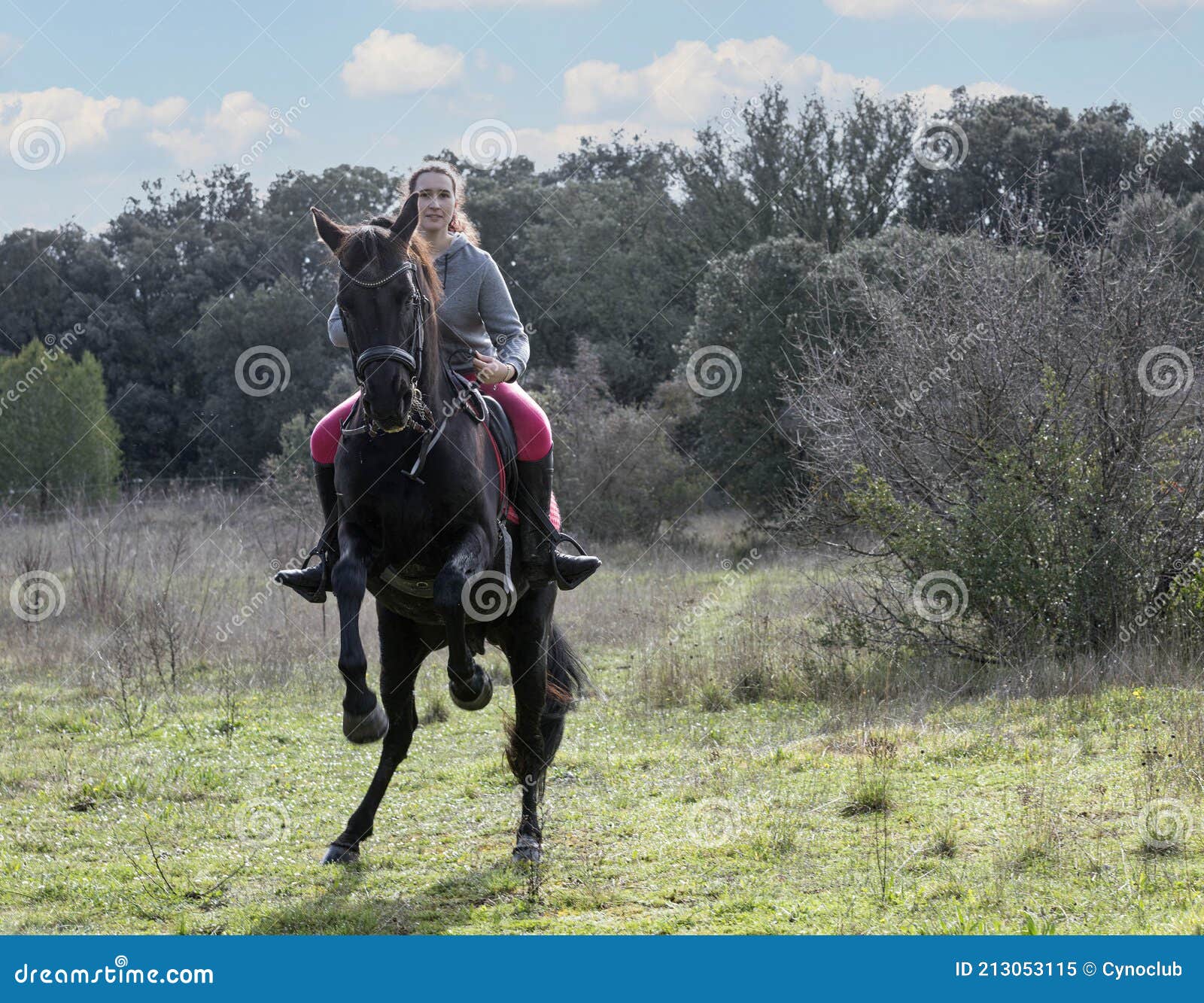 Riding Girl And Horse Royalty-Free Stock Photography | CartoonDealer ...