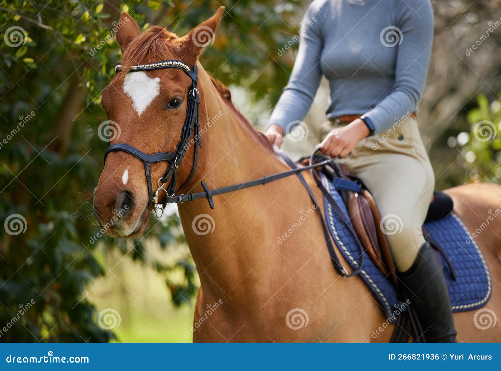 When Riding a Horse, we Borrow Freedom. a Unrecognizable Female Riding ...
