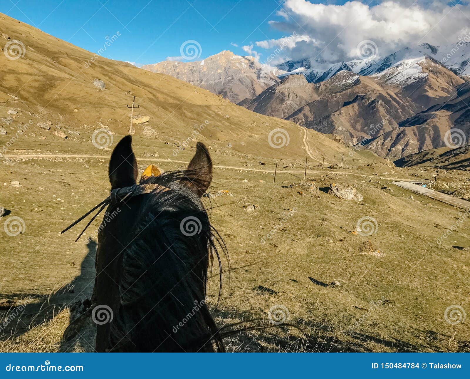 Riding a Horse First Person View and a View of the Mountains Stock ...