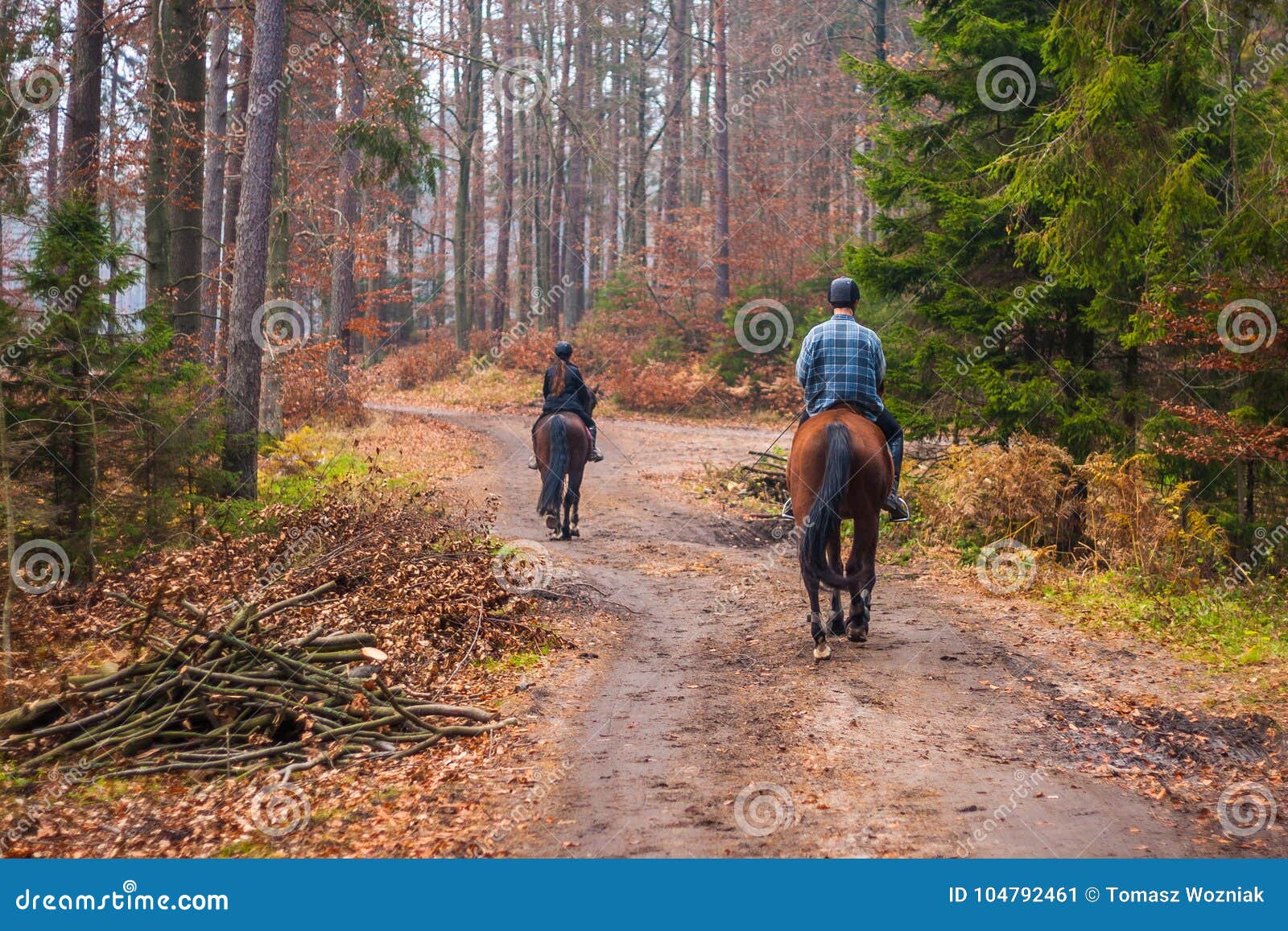 Riding a Horse on the Ground. Editorial Photo - Image of brown, leaf ...
