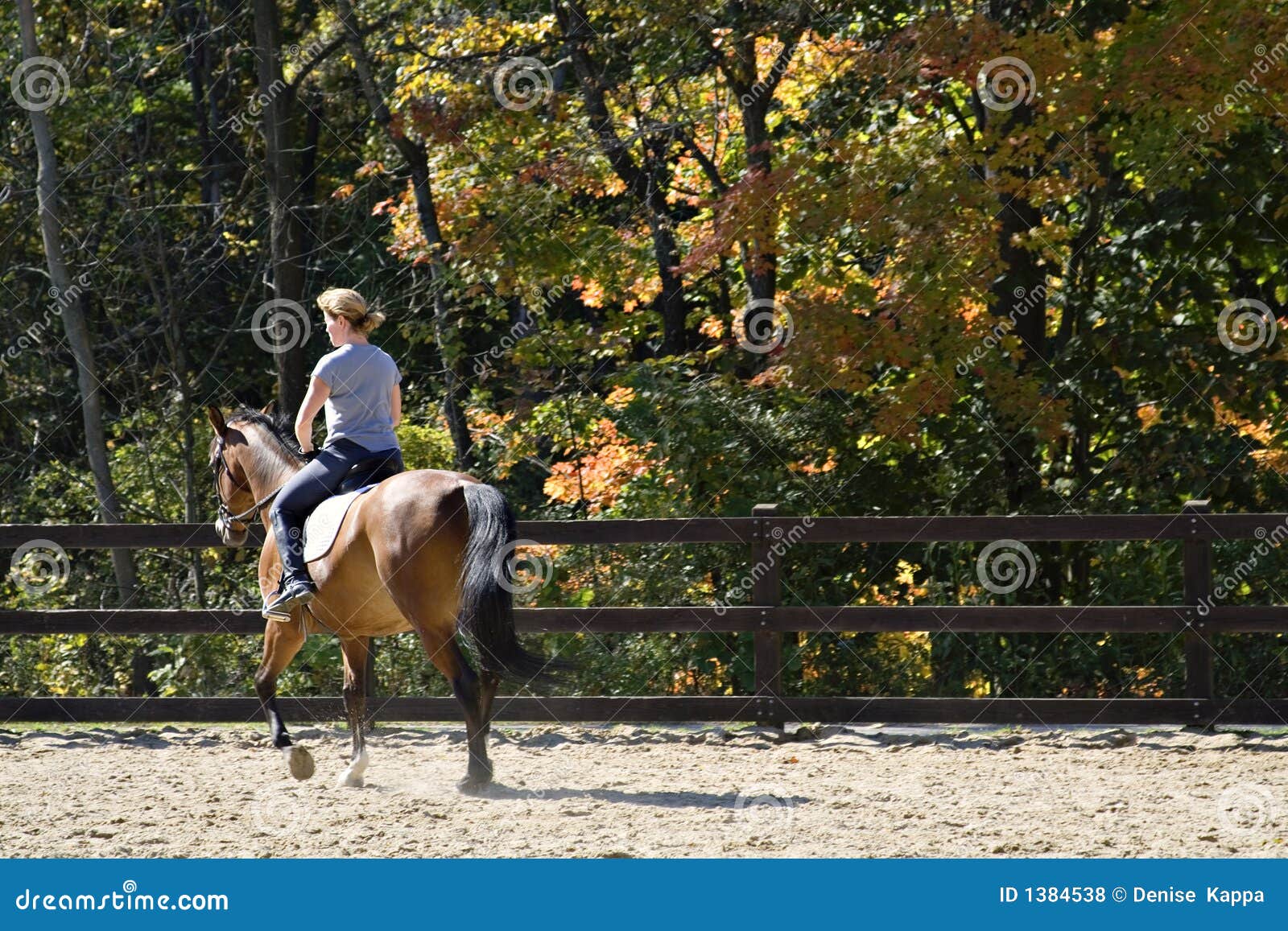 Riding Lesson stock photo. Image of october, riding, autumn - 1384538