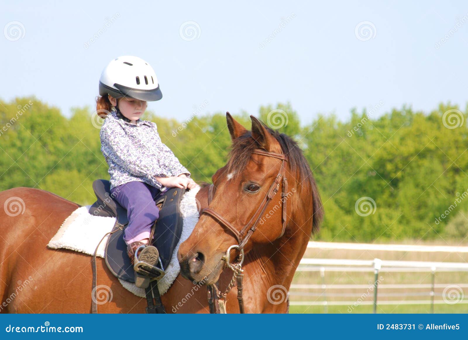 Riding Lessons stock image. Image of lessons, quarter - 2483731