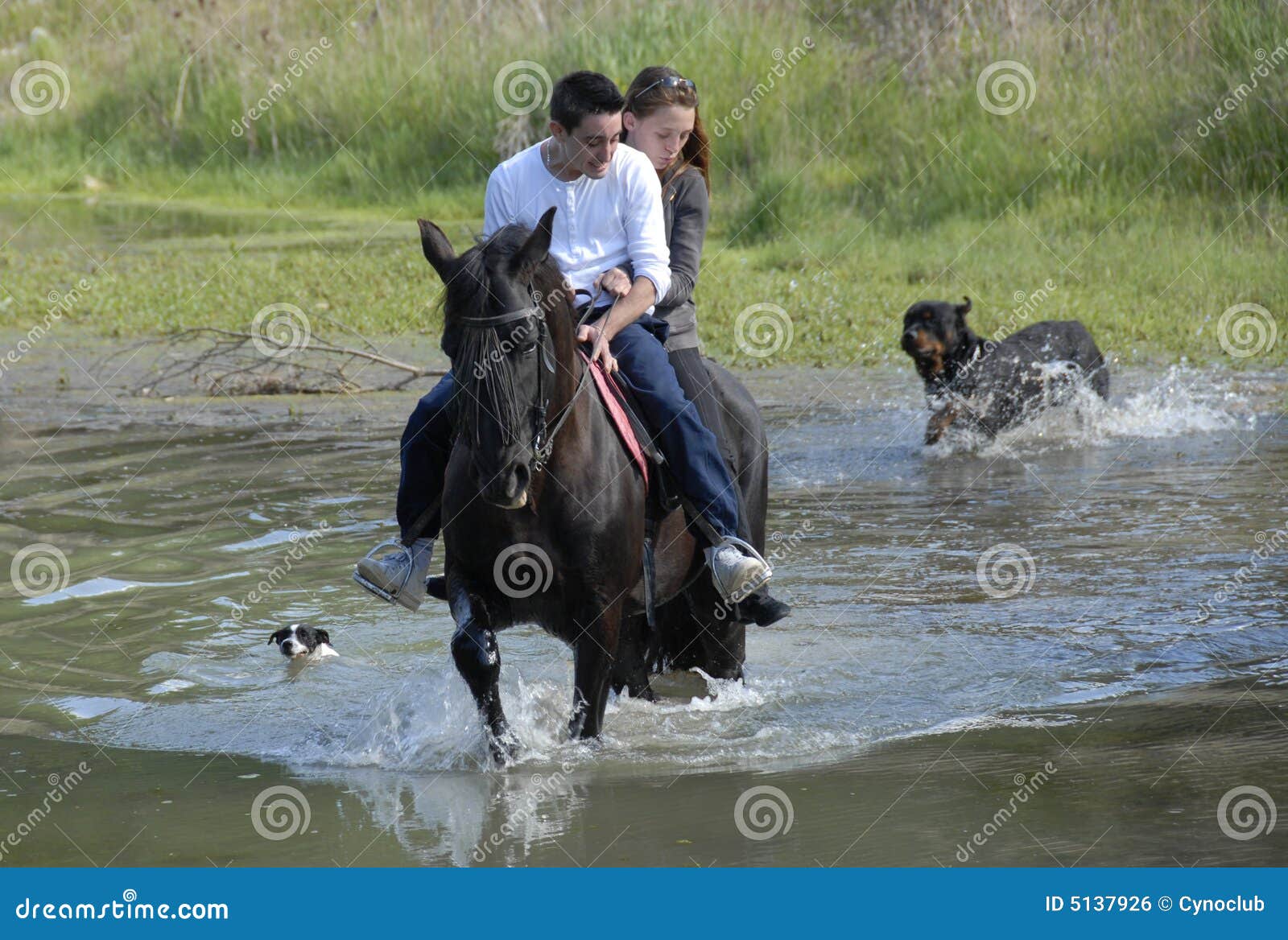 Riding lovers stock photo. Image of laughing, animal, rottweiler - 5137926