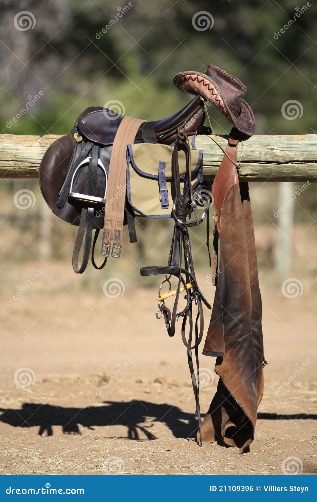 Riding tack stock photo. Image of metal, vertical, equipment - 21109396