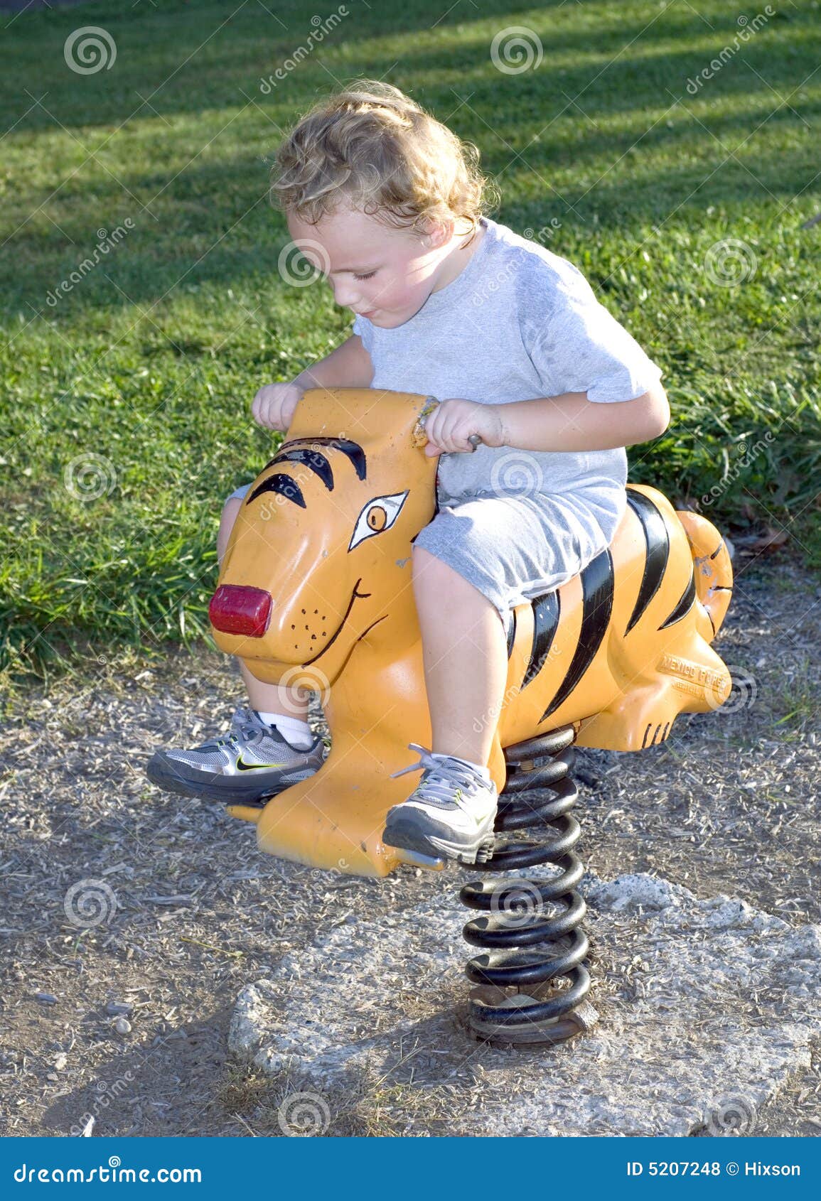 Riding Tiger stock photo. Image of young, person, juvenile - 5207248