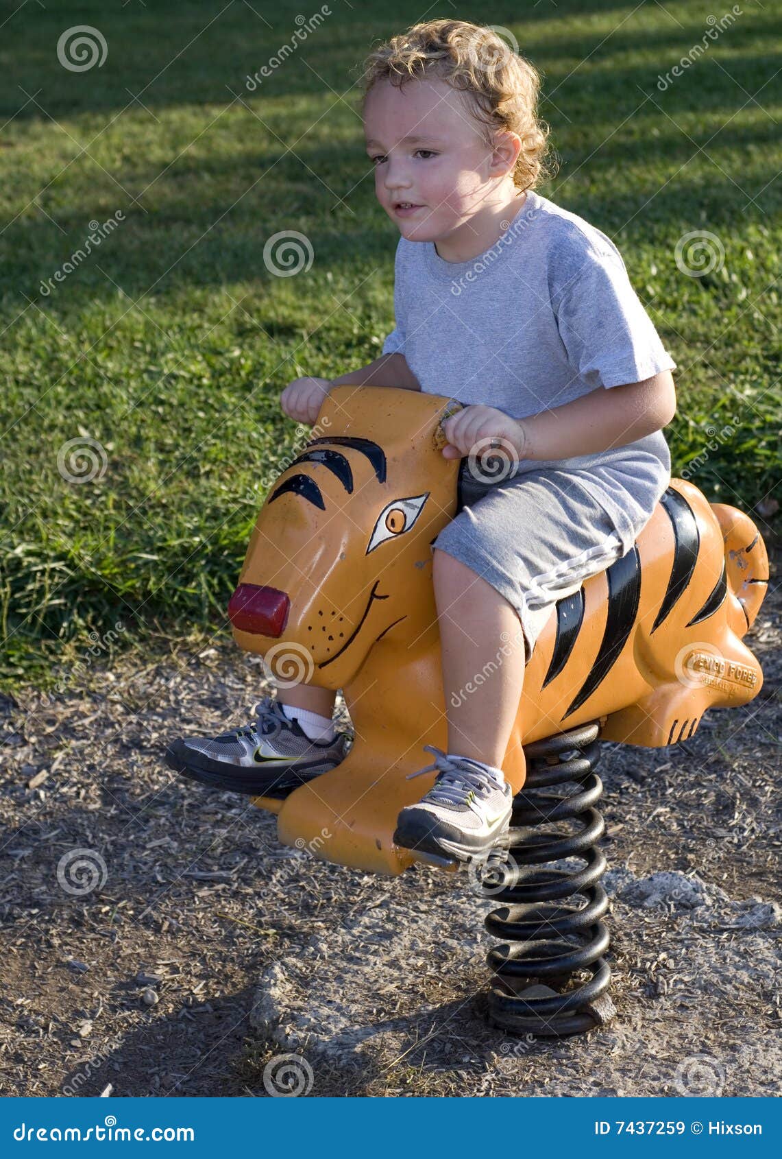 Riding Tiger stock image. Image of white, hair, masculine - 7437259