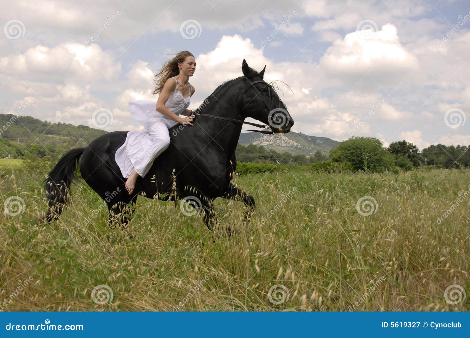 Riding wedding woman stock image. Image of field, grass - 5619327
