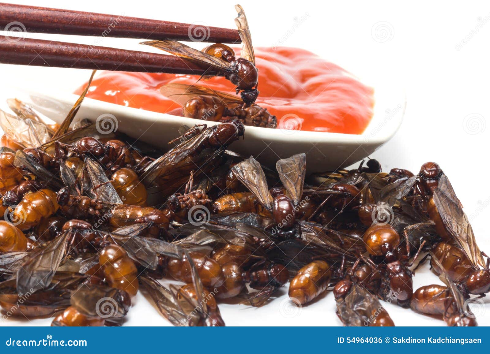 Ried Ant - Fried Subterranean Ants Stock Photo - Image of food, animal ...