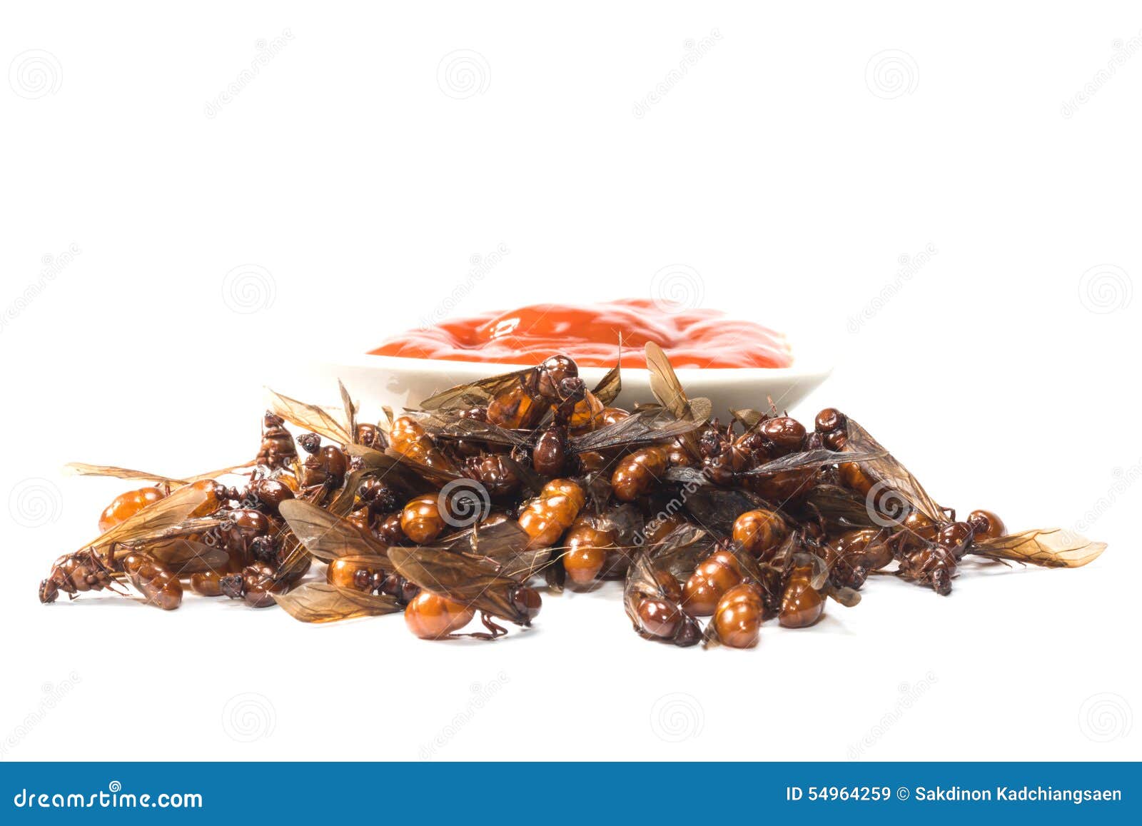 Ried Ant - Fried Subterranean Ants Royalty-Free Stock Image ...