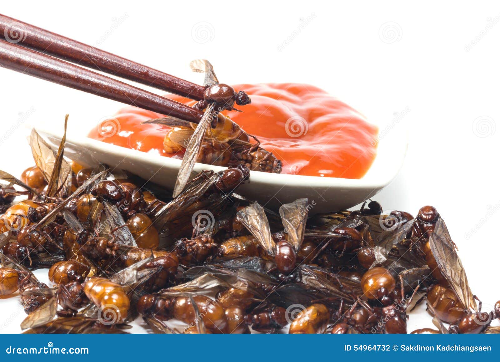 Ried Ant - Fried Subterranean Ants Stock Photo - Image of invertebrate ...