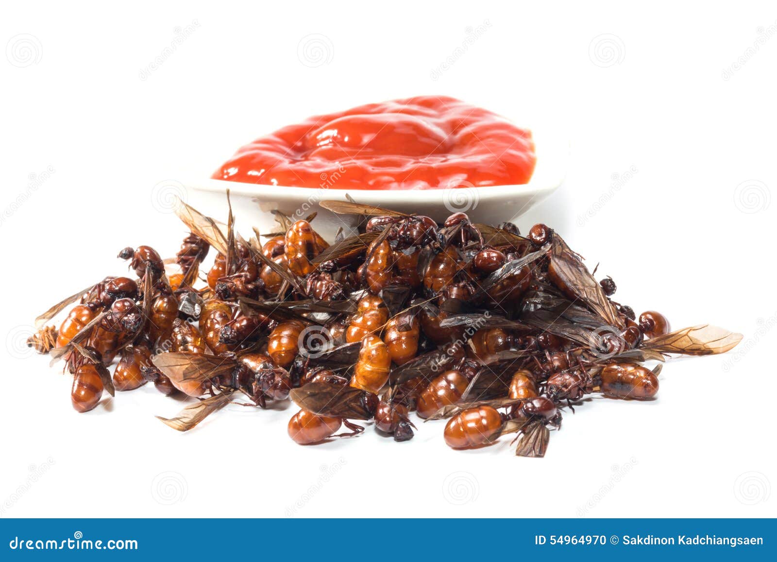 Ried Ant - Fried Subterranean Ants Stock Photo - Image of sauce, fauna ...