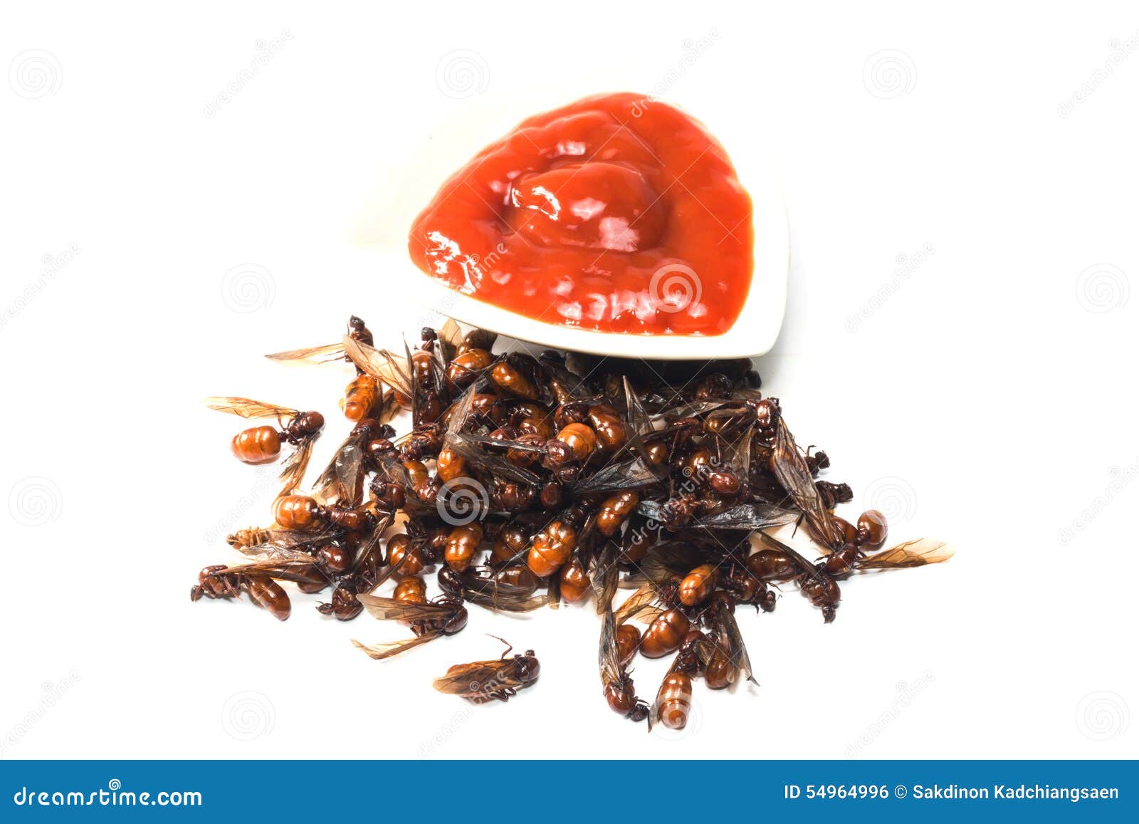 Ried Ant - Fried Subterranean Ants Stock Photo - Image of fauna, food ...