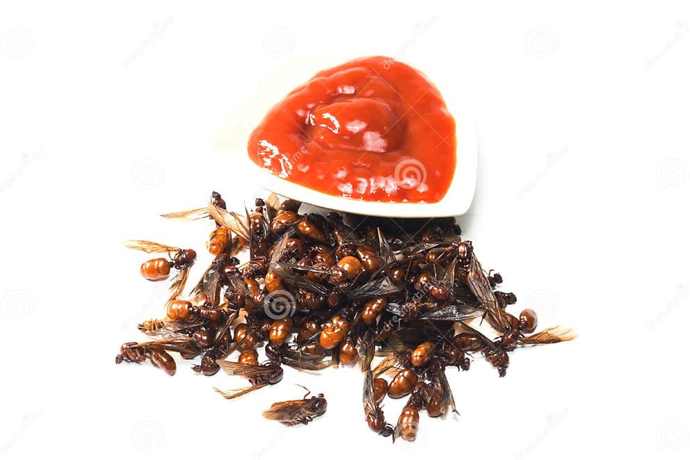 Ried Ant - Fried Subterranean Ants Stock Photo - Image of fauna, food ...