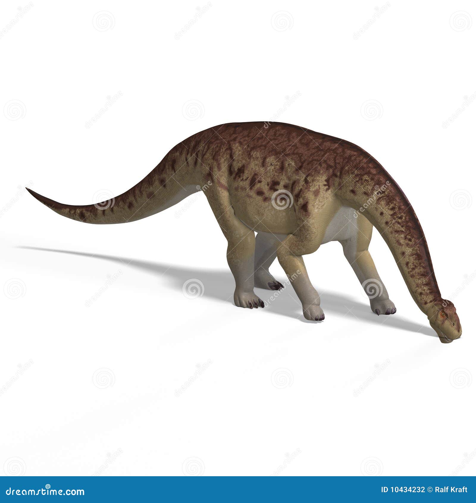 Riesiges Dinosaurier Camasaurus Mit Ausschnitts-Pfad Vorbei Stock ...