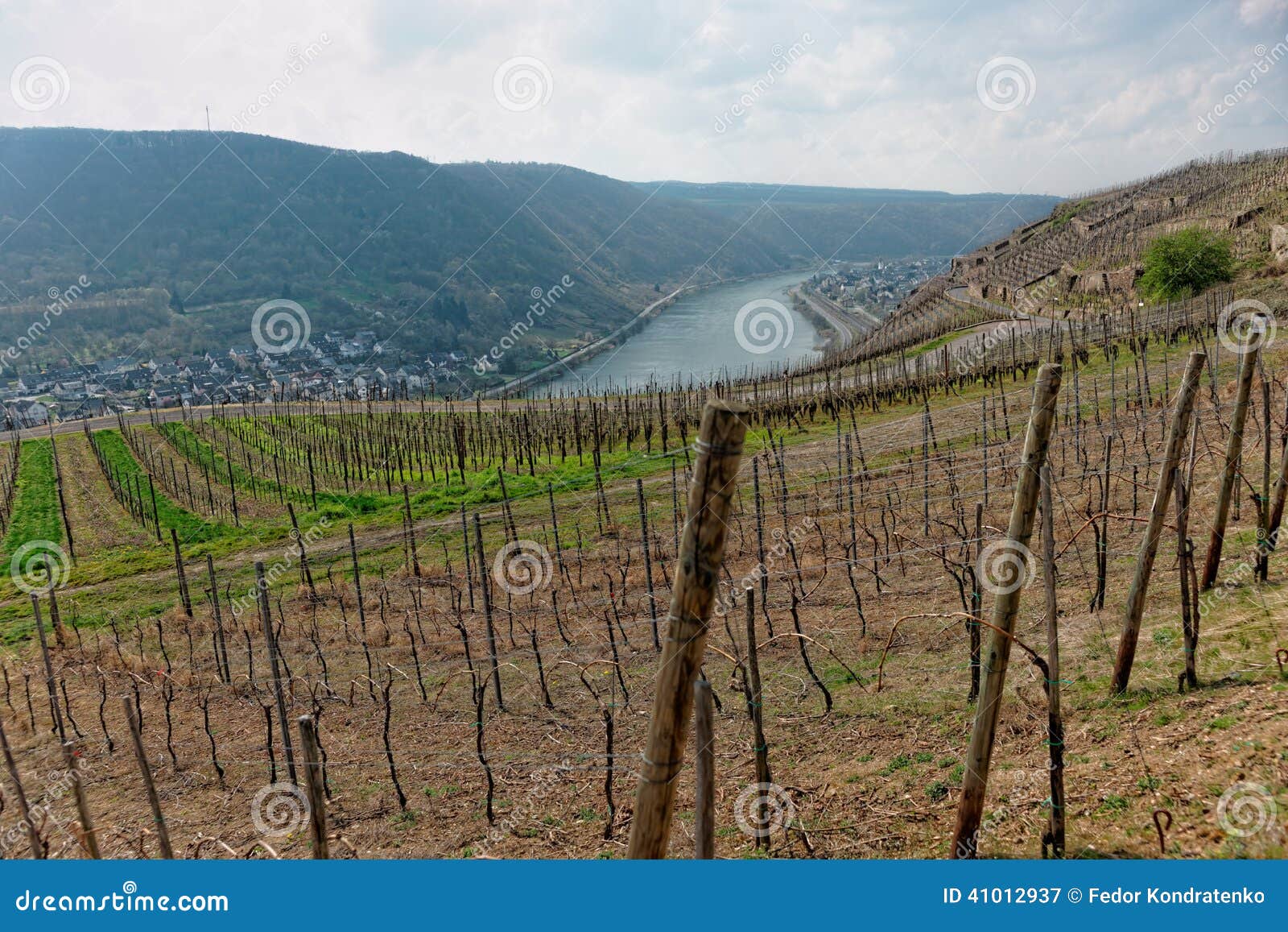 Riesling Vineyards on Moselle River Stock Image - Image of skyline ...