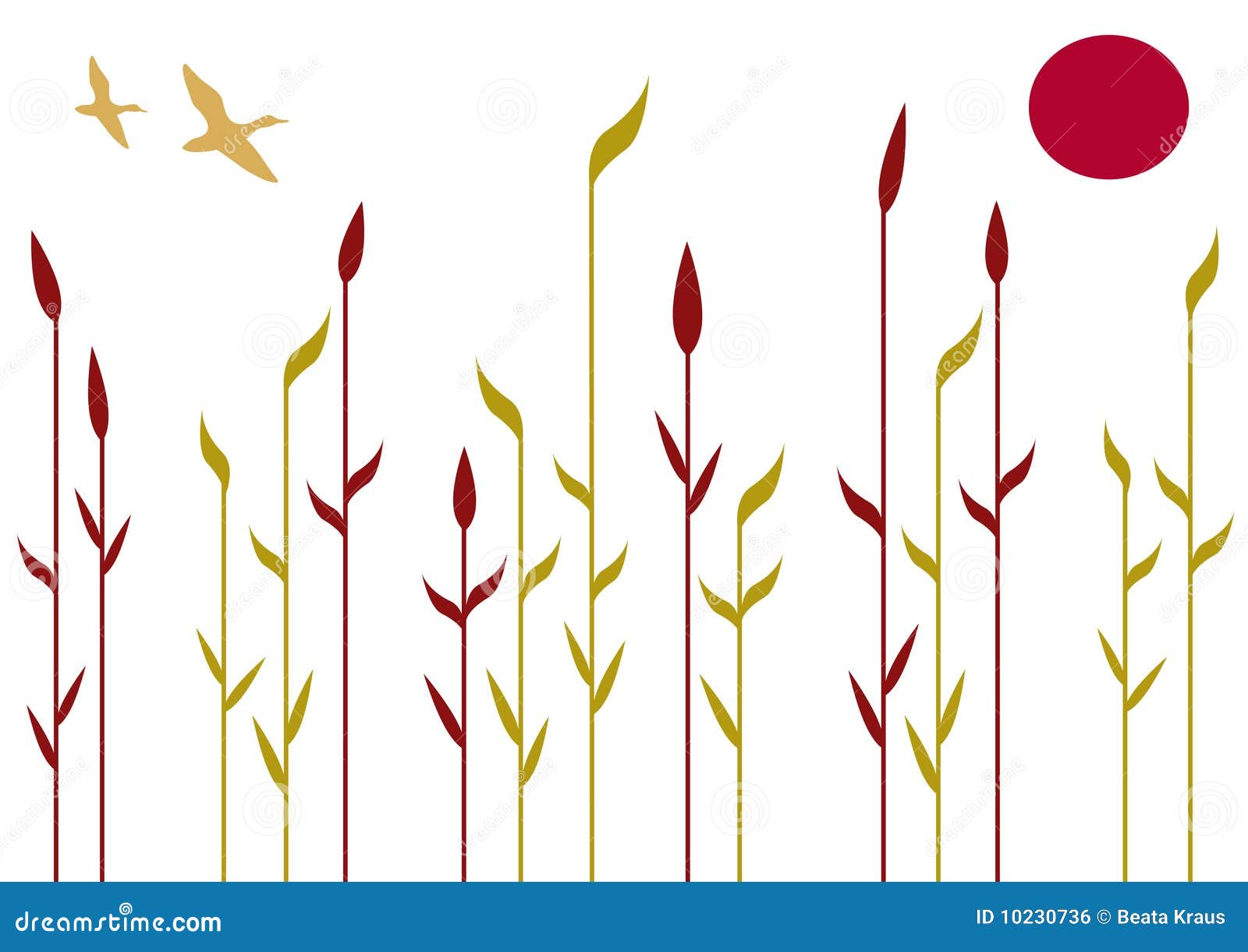 Riet vector illustratie. Illustration of knop, tekening - 10230736