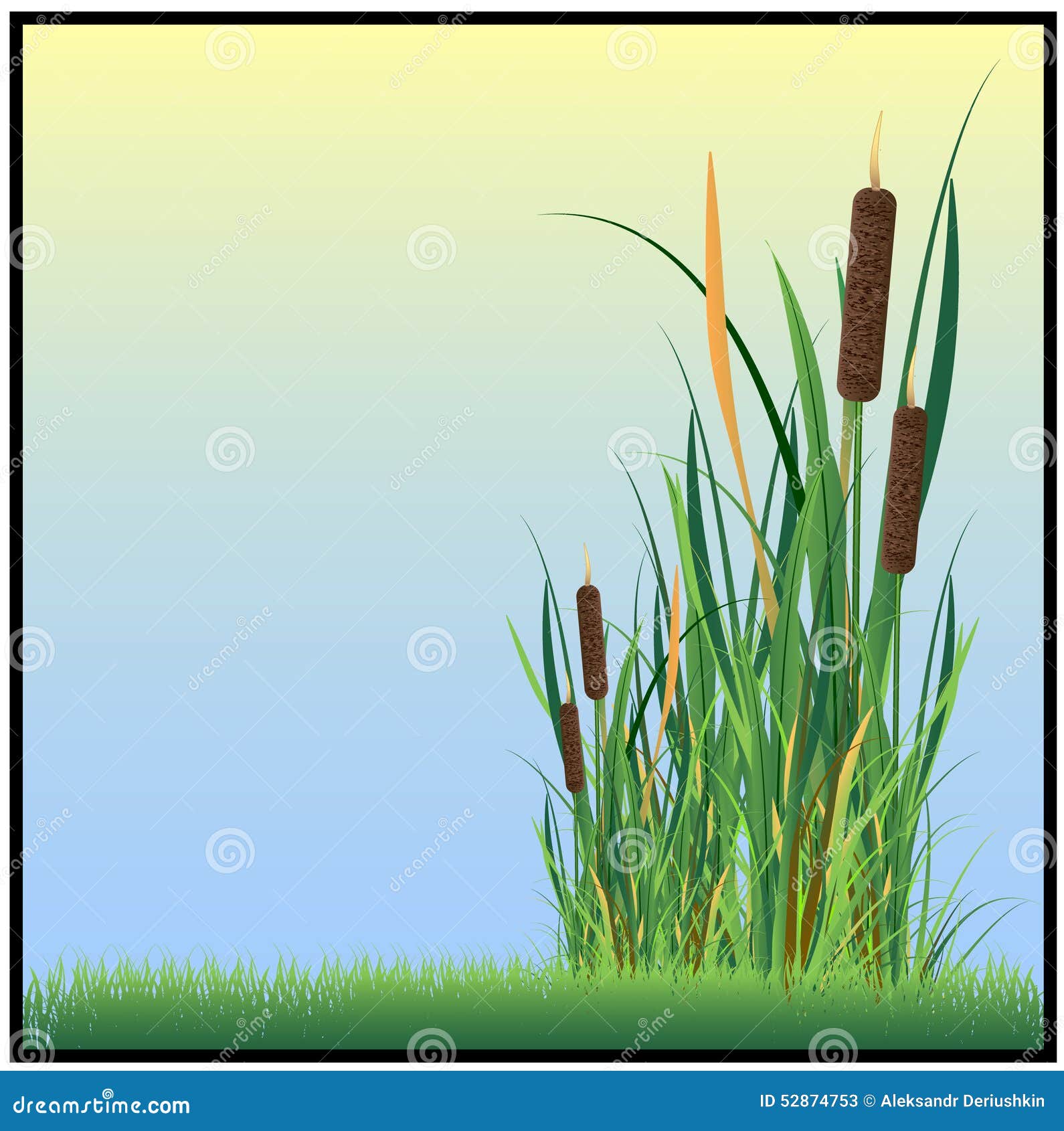 Riet vector illustratie. Illustration of botanisch, naughty - 52874753