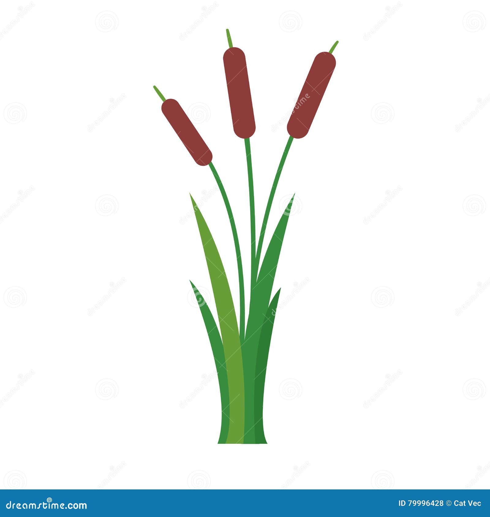 Riet En Cattail Vectorillustratie Vector Illustratie - Illustration of ...