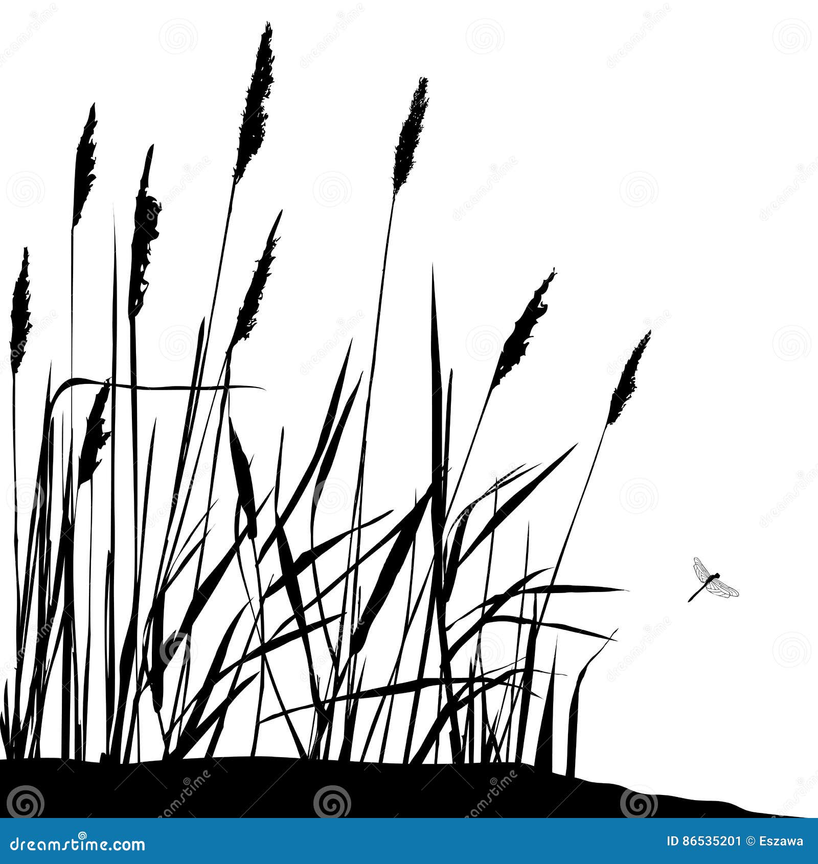 Riet En Vliegende Libel - Vectorillustratie Vector Illustratie ...