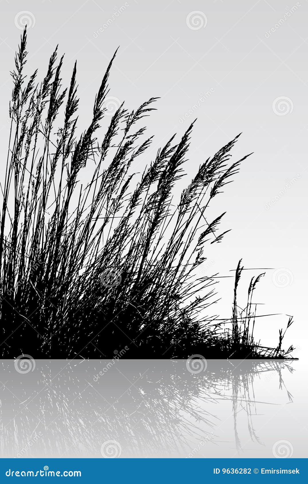 Riet in het water vector illustratie. Illustration of staart - 9636282