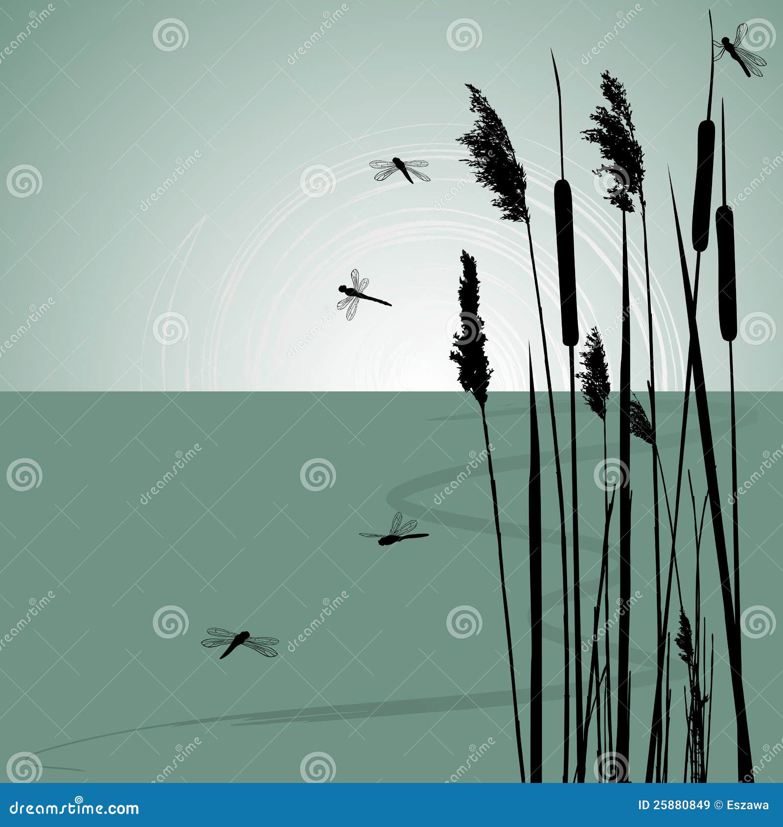 Riet in Het Water En Weinig Libellen Vector Illustratie - Illustration ...
