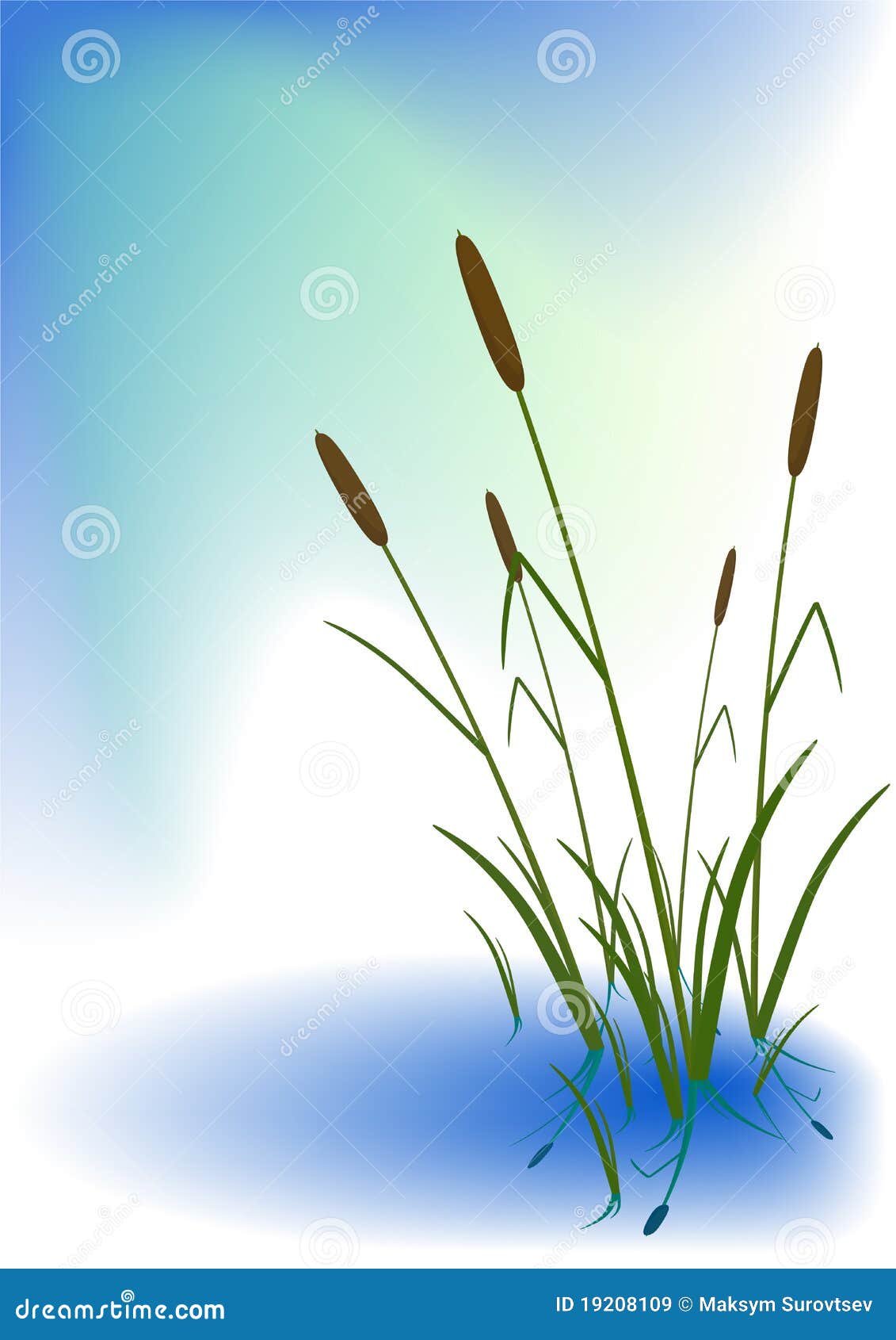 Riet in water vector illustratie. Illustration of rivier - 19208109