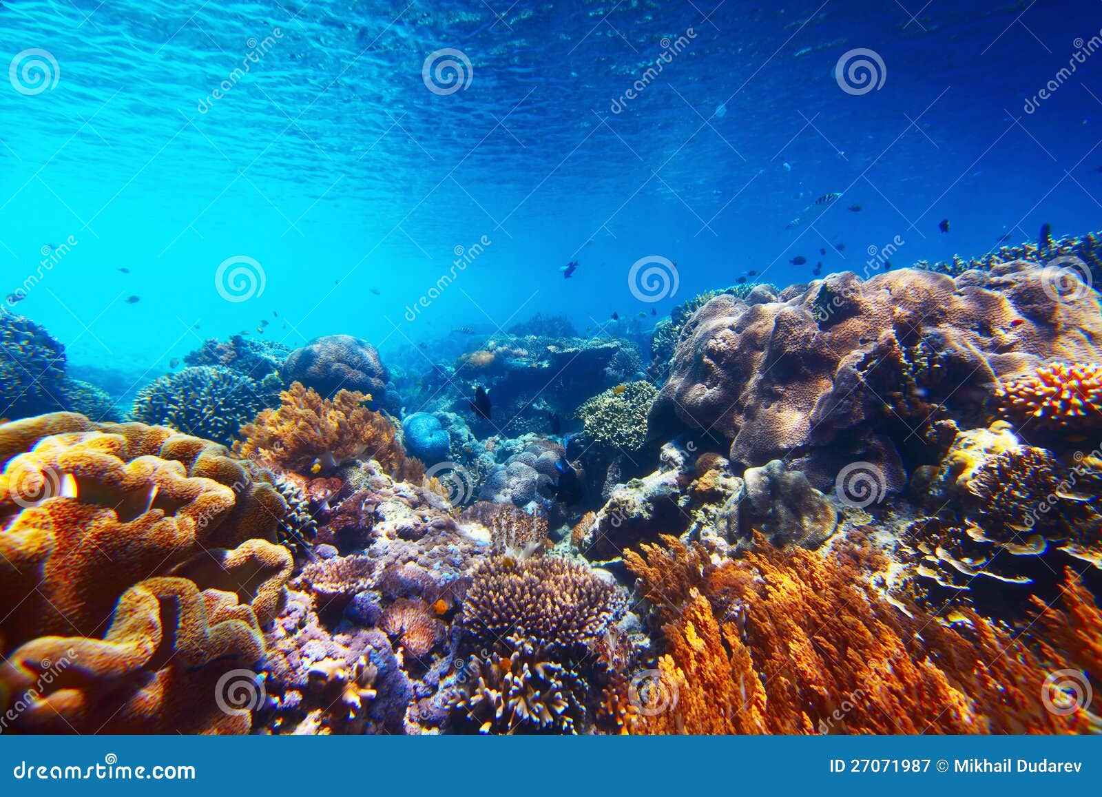 Riff stockbild. Bild von sonnenstrahl, blau, tageslicht - 27071987