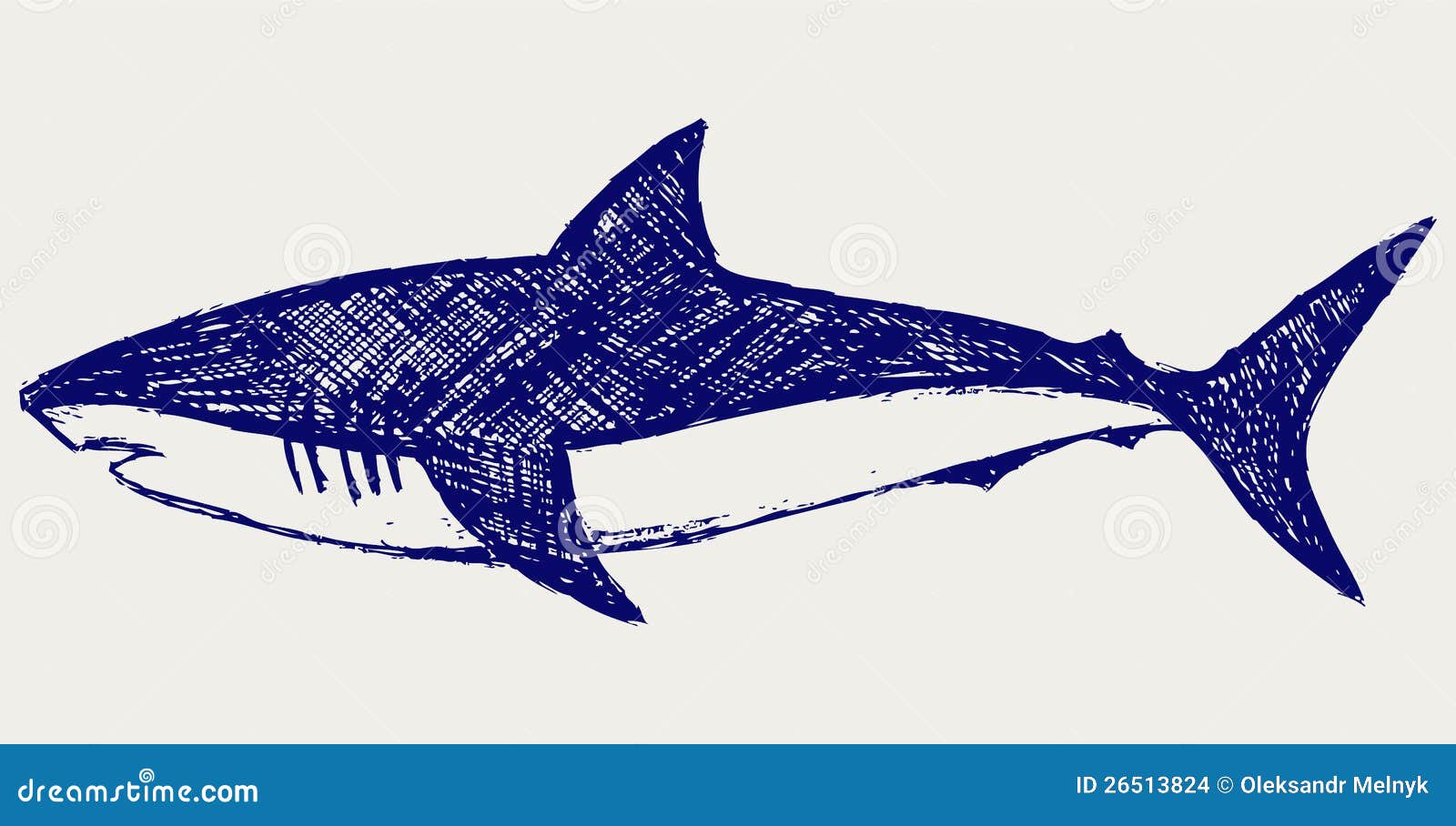Riff-Haifisch vektor abbildung. Illustration von zeichnung - 26513824