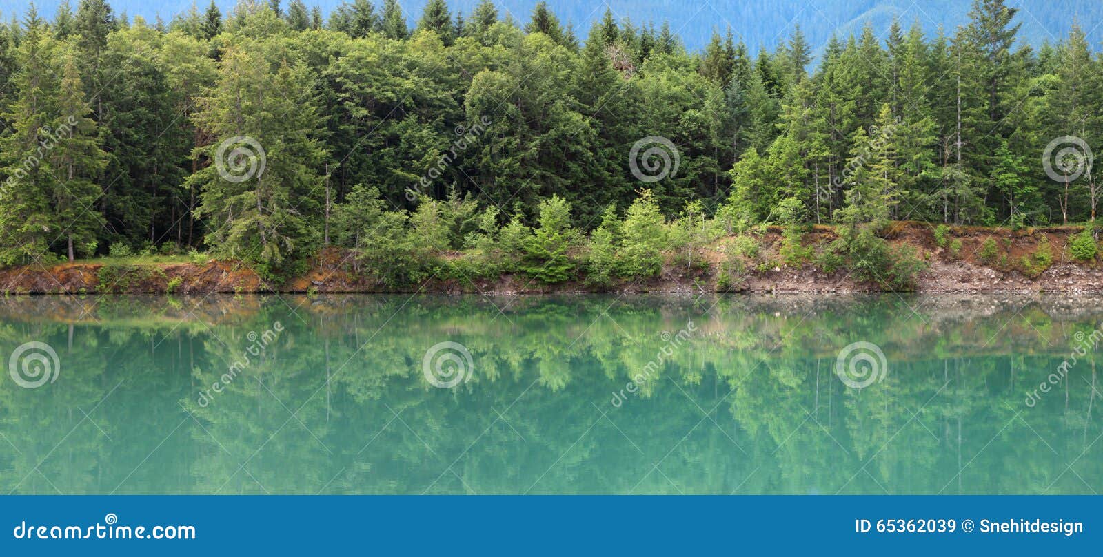 Riffe Lake in Washington State Stock Image - Image of environment ...
