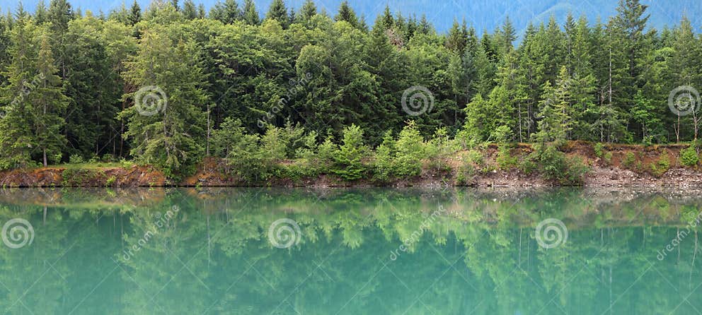 Riffe Lake in Washington State Stock Image - Image of environment ...