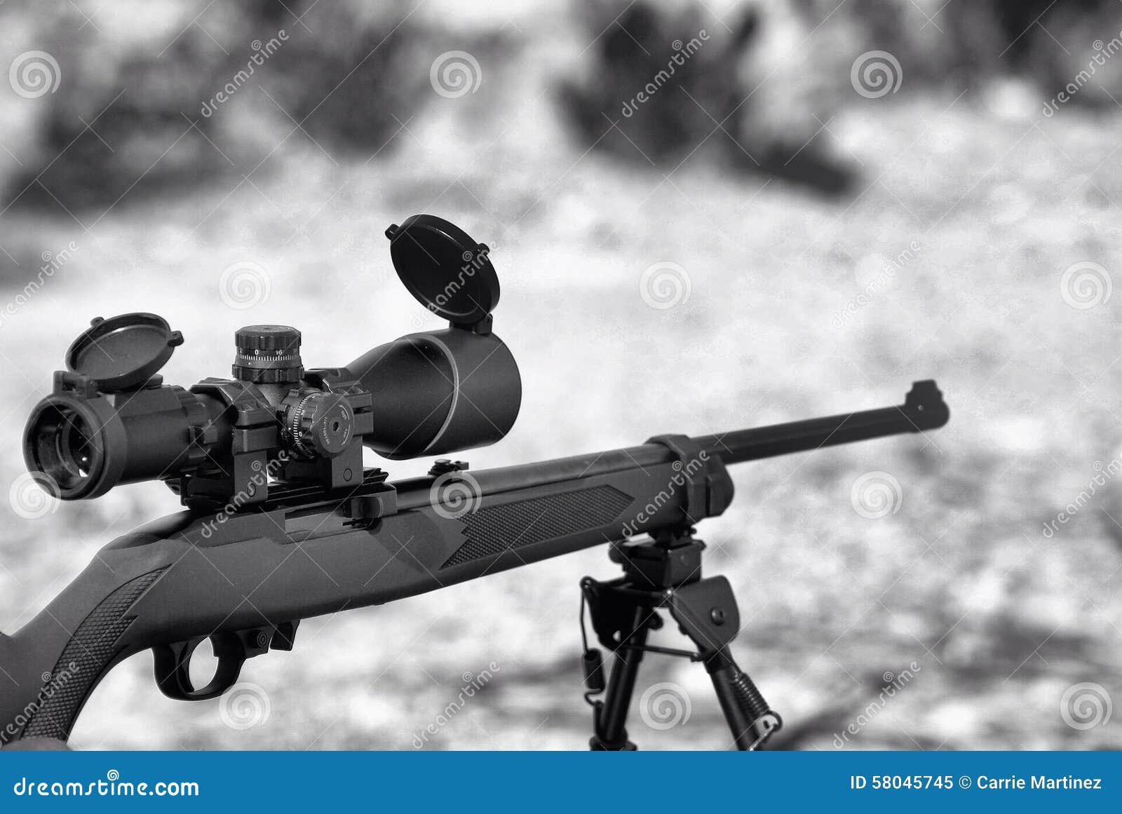 22 riffle stock image. Image of black, riffle, caliber - 58045745