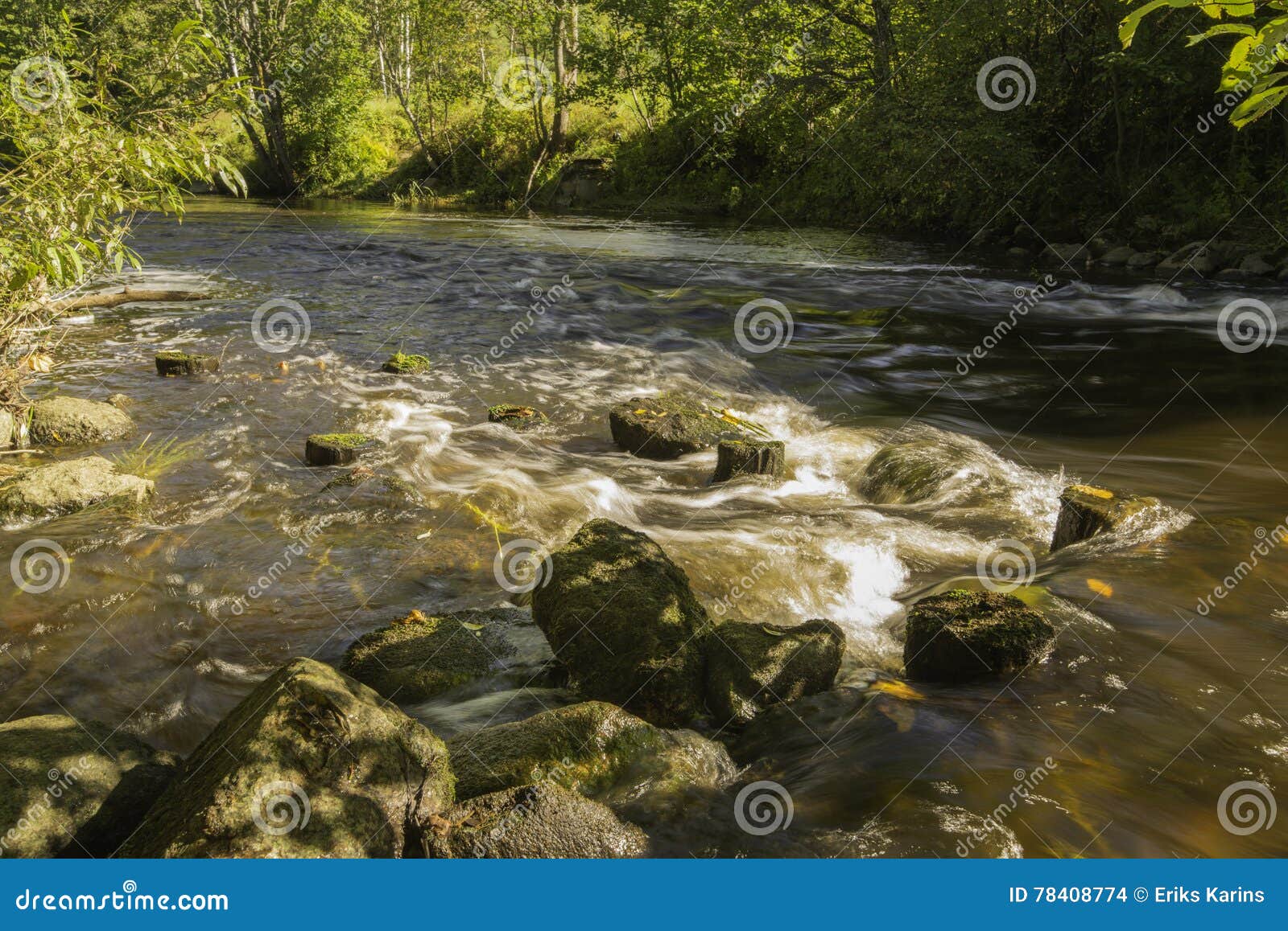 Riffles of the small river stock photo. Image of sunny - 78408774