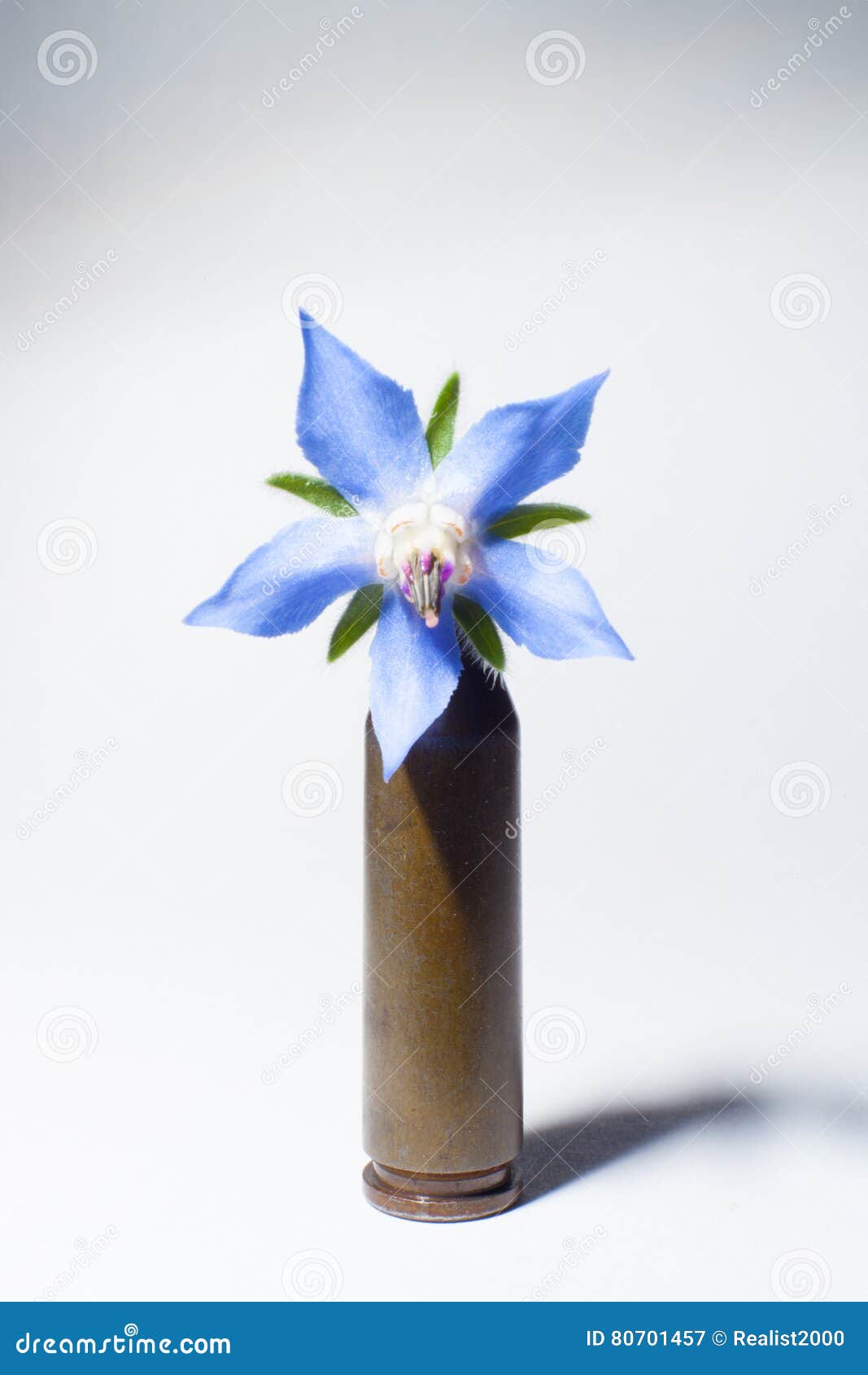 Rifle With A Flower In The Barrel Stock Photo | CartoonDealer.com #31781046