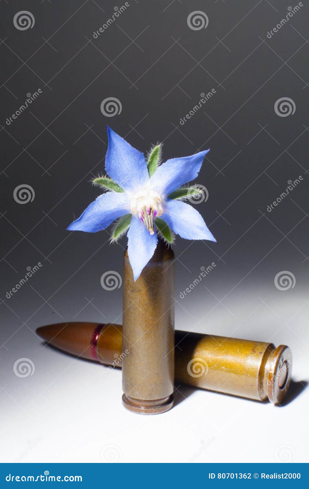 Rifle Bullet and a Flower Bullet Stock Photo - Image of goodness ...