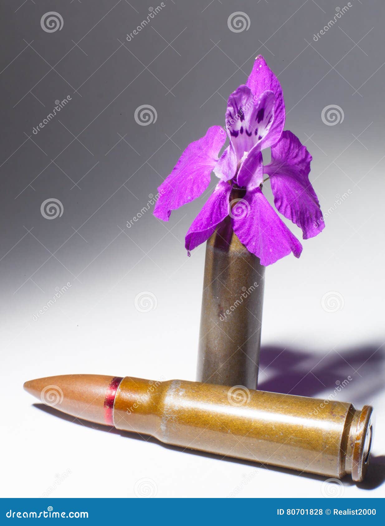 Rifle With A Flower In The Barrel Stock Photo | CartoonDealer.com #31781046
