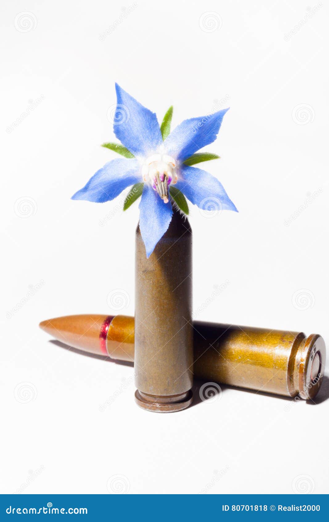 Rifle With A Flower In The Barrel Stock Photo | CartoonDealer.com #31781046