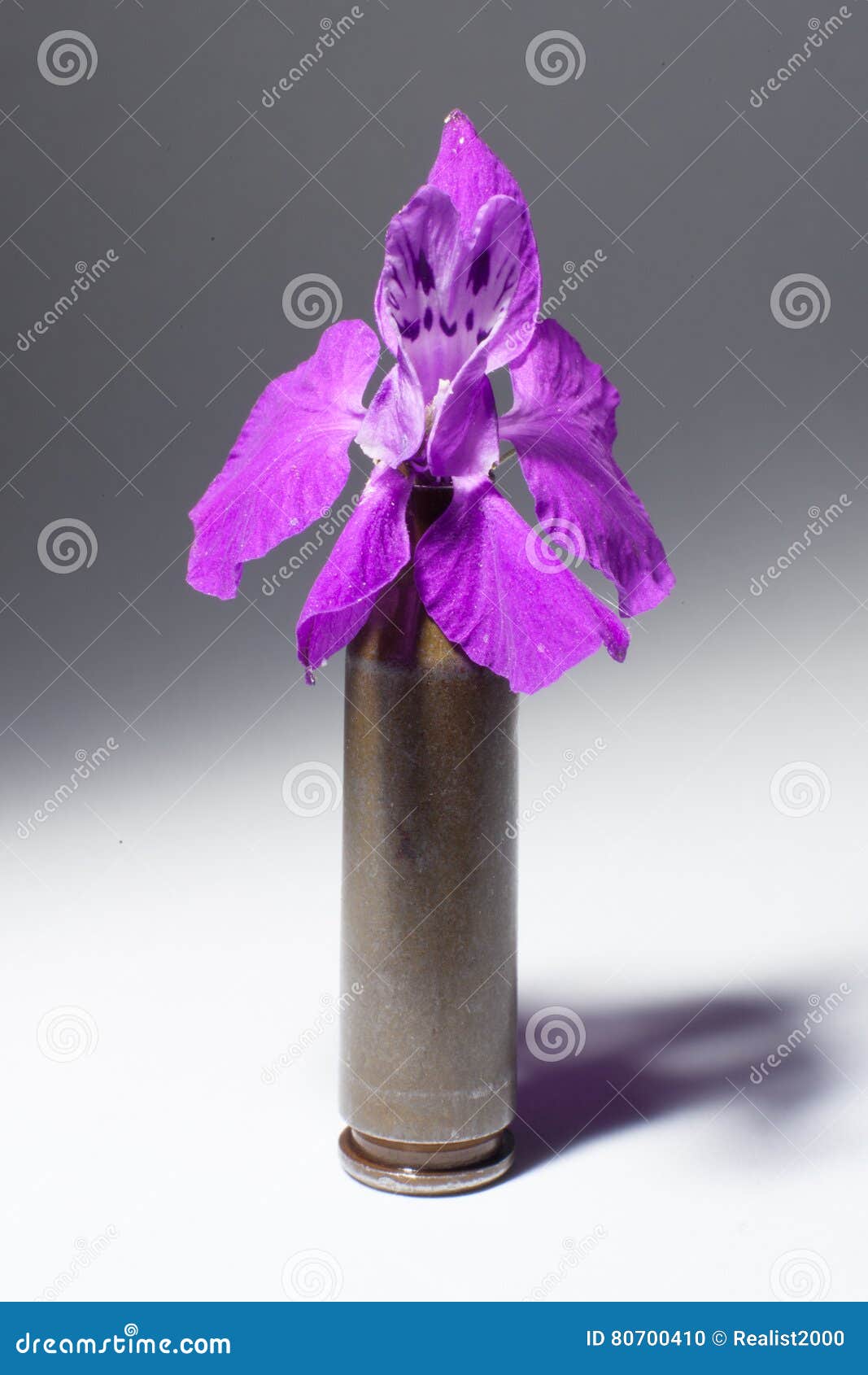 Rifle bullet with a flower stock photo. Image of sleeve - 80700410