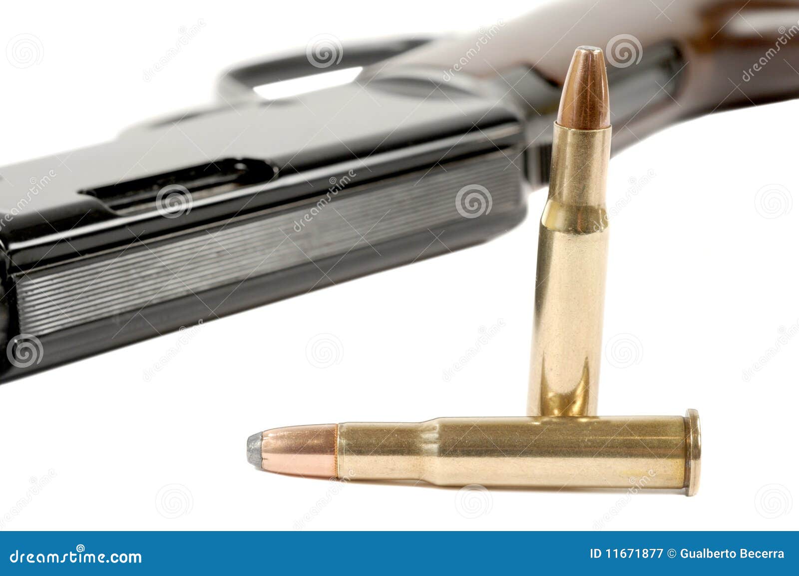 Rifle and Bullets stock image. Image of hunt, target - 11671877