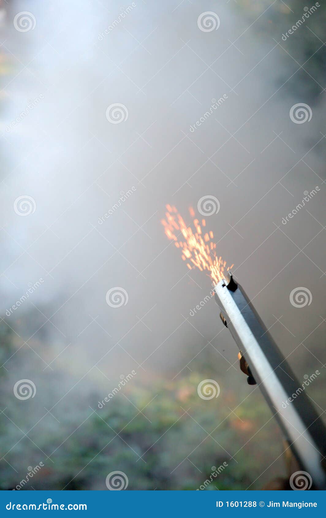 Rifle Firing stock photo. Image of civil, ballistic, muzzle - 1601288