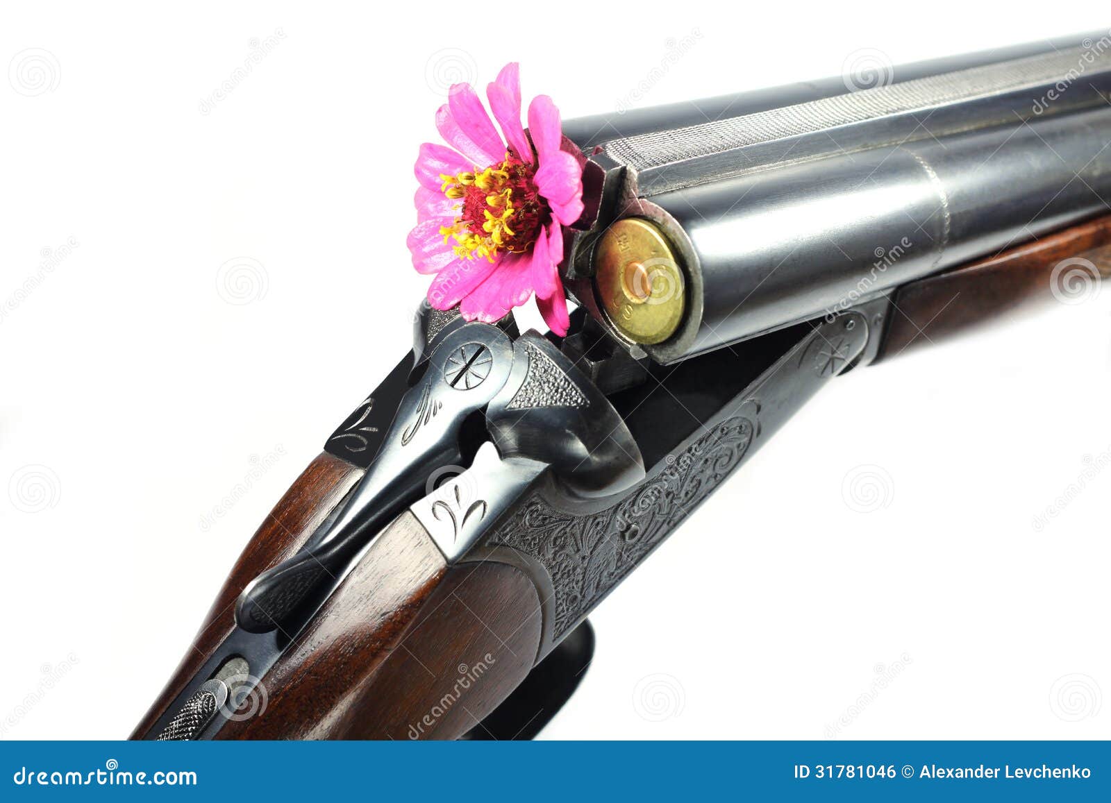 Rifle With A Flower In The Barrel Stock Photo | CartoonDealer.com #31781046