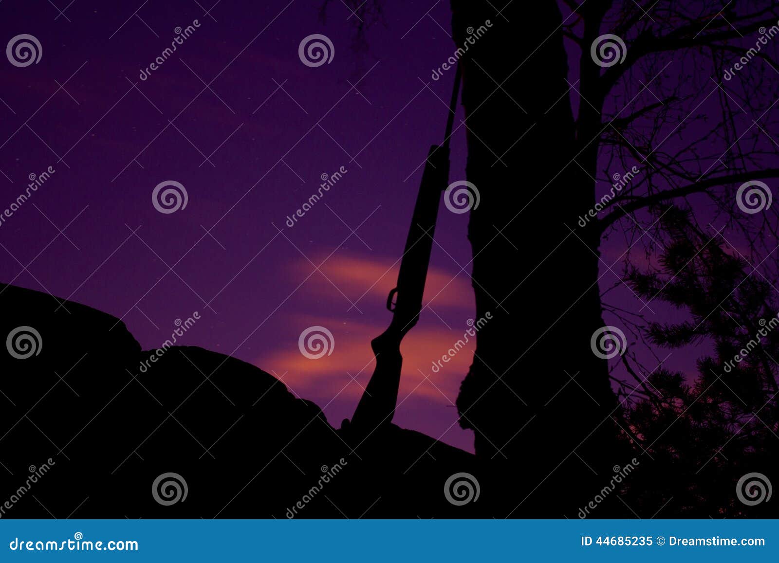 Rifle leaning against tree stock image. Image of walking - 44685235