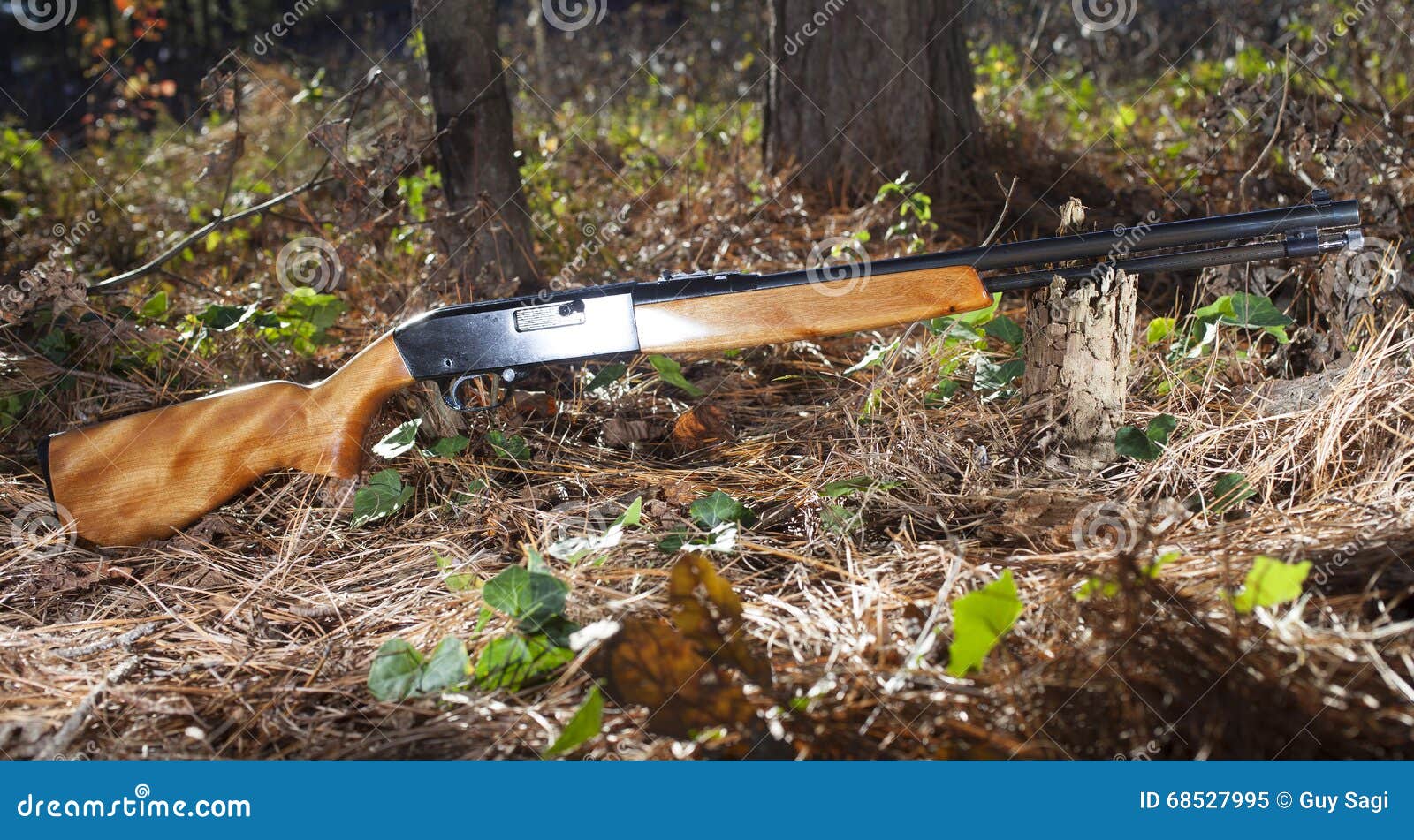 Rifle in the trees stock image. Image of beige, weapon - 68527995