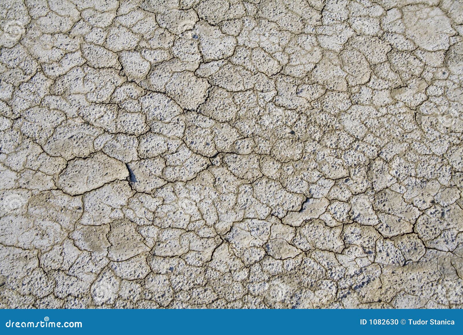 Rift on the earth stock photo. Image of dried, cracked - 1082630