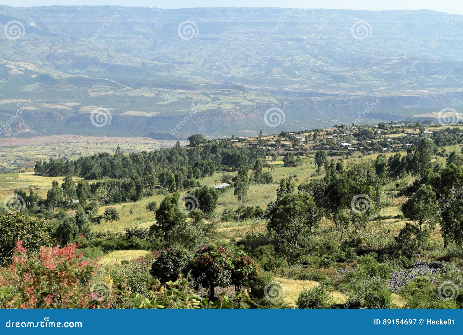 Rift Valley of Ethiopia in Africa Stock Image - Image of wilderness ...