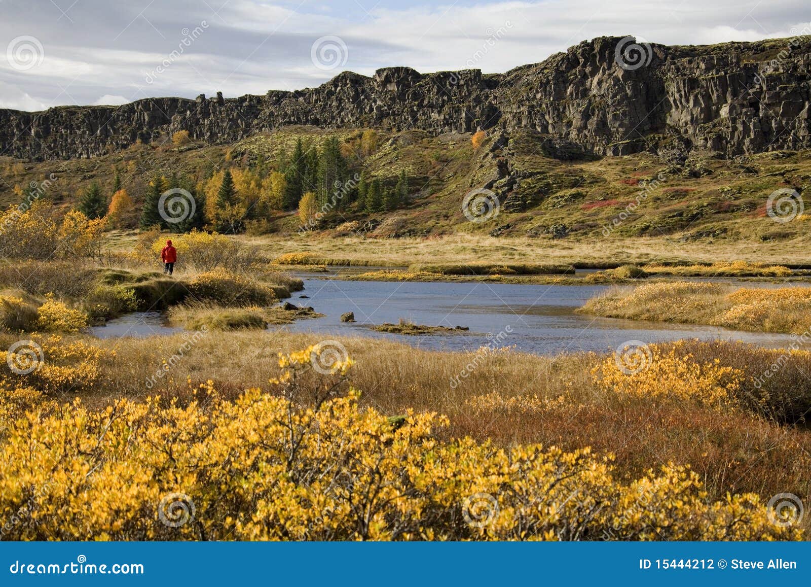 Rift Valley at Pingvellir in Iceland Stock Photo - Image of scenic ...