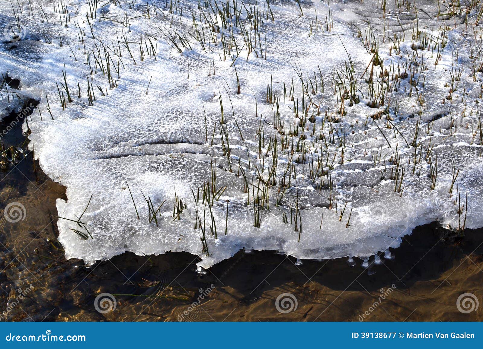 Rigagnolo congelato. immagine stock. Immagine di zona - 39138677