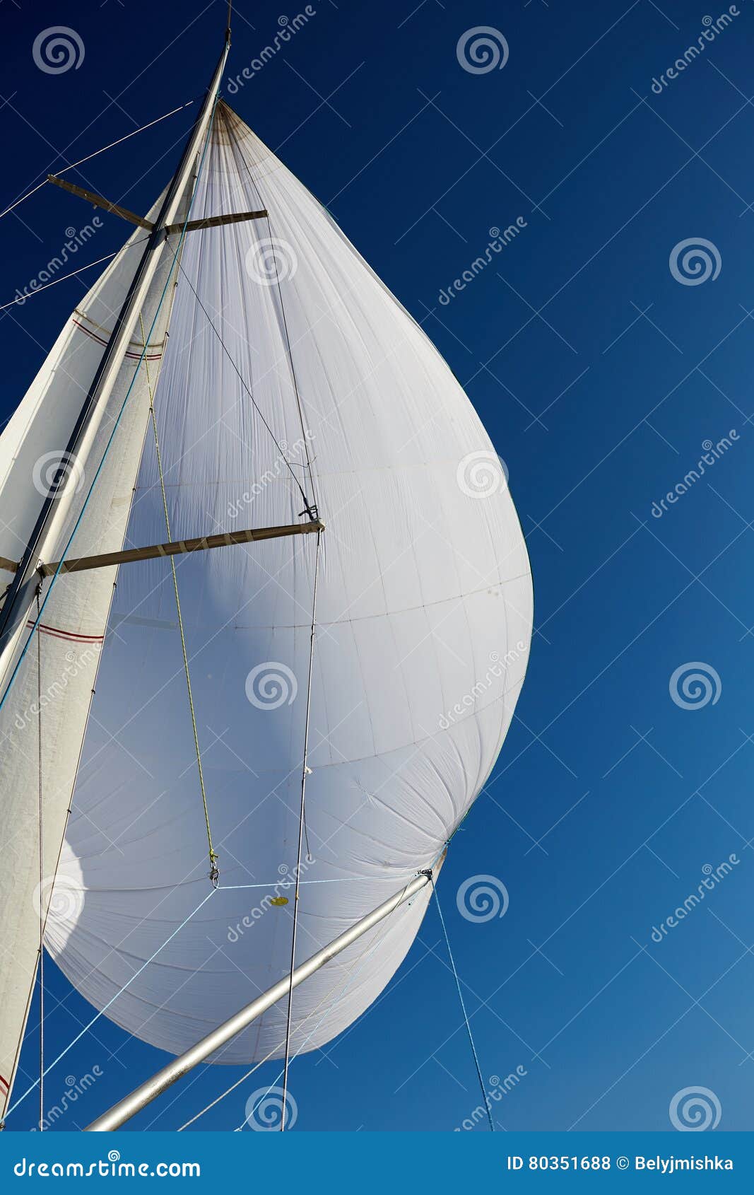 Rigging the Symmetric Spinnaker Stock Photo - Image of flying, sail ...